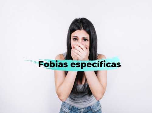 Diez fobias específicas habituales - Insight Mental